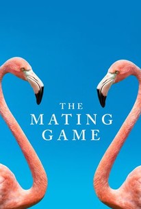 The Mating Game: Season 1 | Rotten Tomatoes
