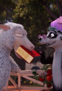 The Owl & Co: Season 1, Episode 54 | Rotten Tomatoes