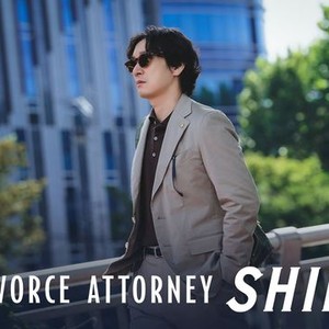 Divorce Attorney Shin - Rotten Tomatoes
