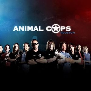 Animal Cops: Houston: Season 11, Episode 1 - Rotten Tomatoes
