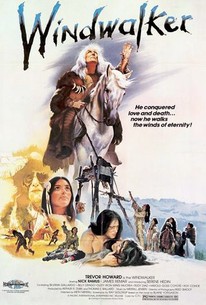 Windwalker | Rotten Tomatoes