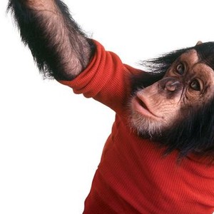 Project Nim - Rotten Tomatoes