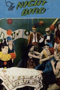 The Night Bird - Movie Reviews | Rotten Tomatoes