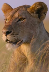 Our Planet: Season 2, Episode 2 | Rotten Tomatoes