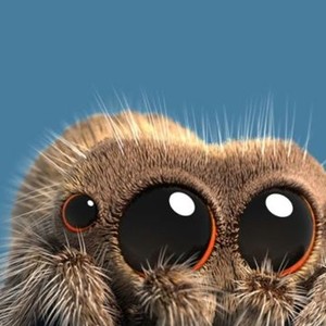 Lucas the Spider - Rotten Tomatoes