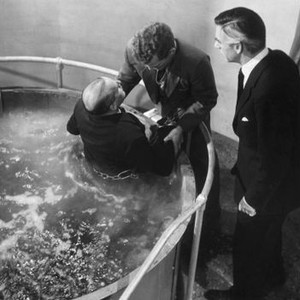 Graham Curnow - Rotten Tomatoes