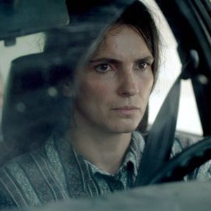 Hive - Rotten Tomatoes