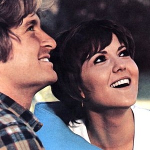 Summertree - Rotten Tomatoes