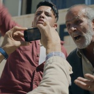 The Translator - Rotten Tomatoes