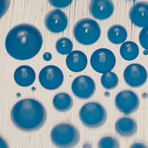 Masking Threshold - Rotten Tomatoes