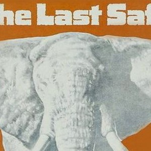 The Last Safari - Rotten Tomatoes