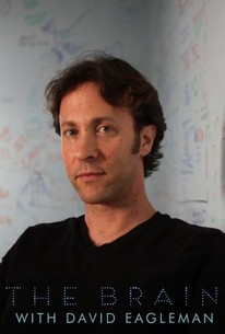 The Brain With David Eagleman | Rotten Tomatoes