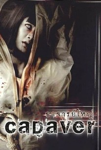 Cadaver (2006) | Rotten Tomatoes