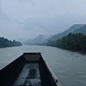 King Coal - Rotten Tomatoes