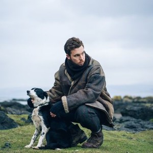 Shepherd - Rotten Tomatoes