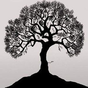 The Colour Out of Space - Rotten Tomatoes