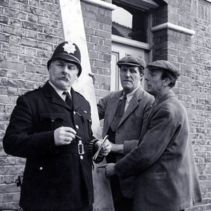 The Plank - Rotten Tomatoes