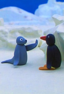 Pingu: Season 2, Episode 9 - Rotten Tomatoes