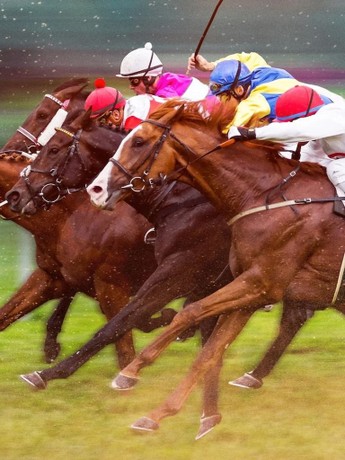 Race for the Crown | Rotten Tomatoes