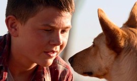 Buckley's Chance - Rotten Tomatoes
