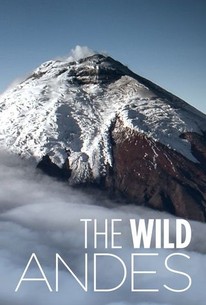 The Wild Andes: Miniseries | Rotten Tomatoes