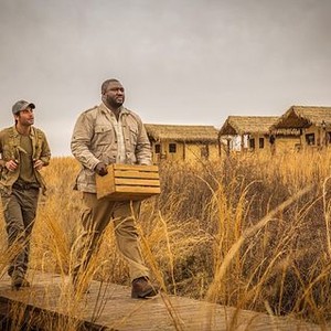 Zoo: Season 1, Episode 1 - Rotten Tomatoes