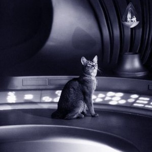 The Cat From Outer Space (1978) - Rotten Tomatoes