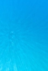 Fearless Planet: Season 1, Episode 5 | Rotten Tomatoes