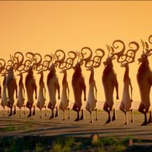 Riverdance: The Animated Adventure - Rotten Tomatoes