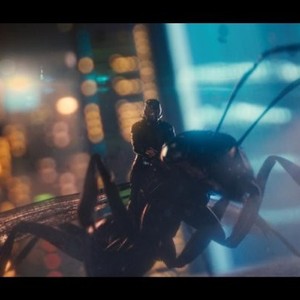 Ant-Man - Rotten Tomatoes