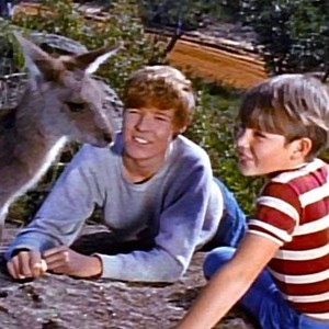 Skippy - Rotten Tomatoes