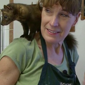 Hope in the Wild: Season 1, Episode 17 - Rotten Tomatoes