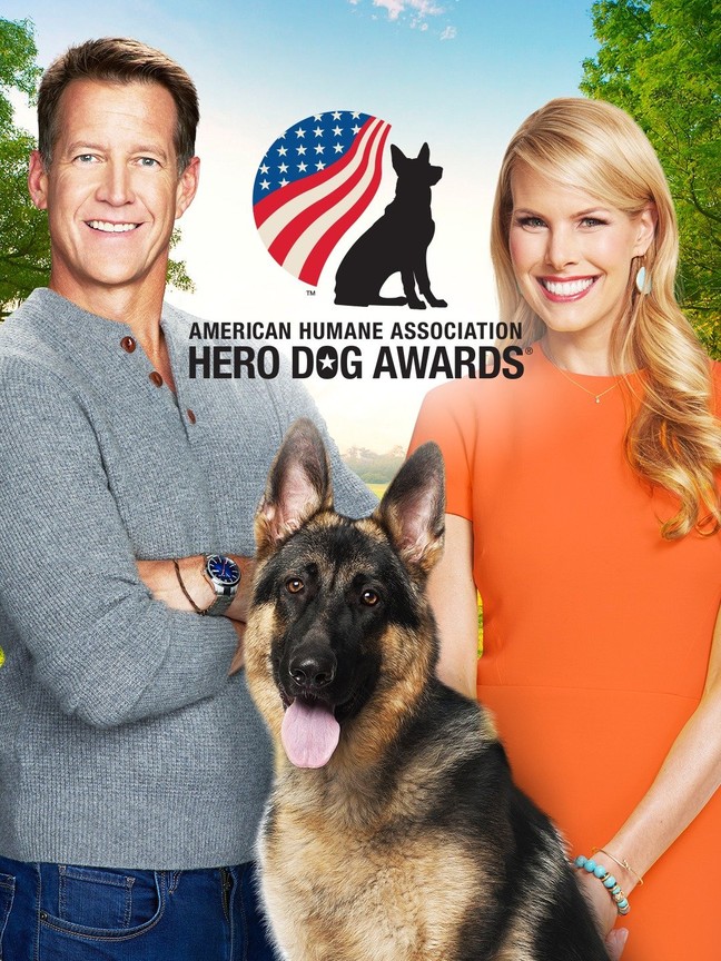 What Happens At The Hero Dog Awards