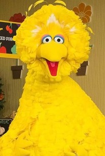 Sesame Street: Season 49, Episode 31 | Rotten Tomatoes