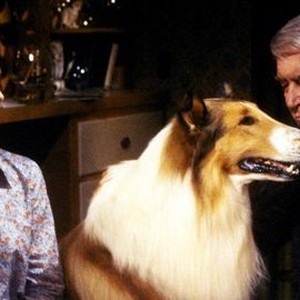 The Magic of Lassie - Rotten Tomatoes