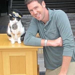 Must Love Cats - Rotten Tomatoes