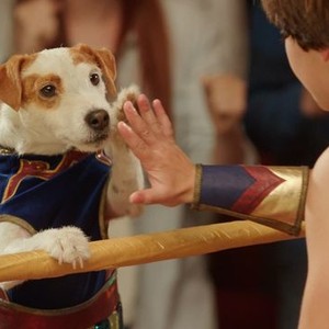 Russell Madness - Rotten Tomatoes