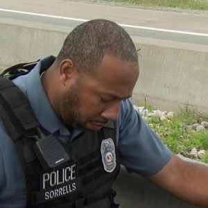 Cops: Season 28, Episode 10 - Rotten Tomatoes