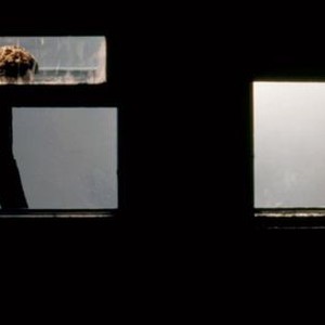 Randall Adams - Rotten Tomatoes