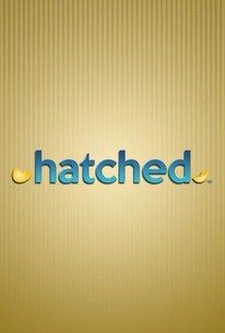 Hatched | Rotten Tomatoes