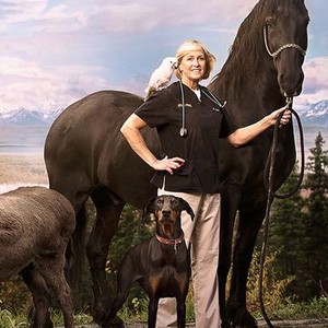 Dr. Dee: Alaska Vet - Rotten Tomatoes