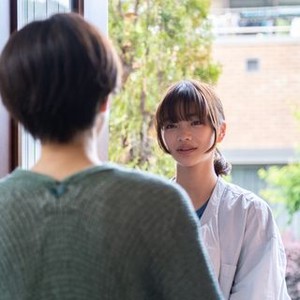 Remembering Every Night - Rotten Tomatoes