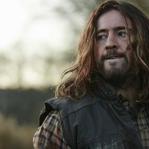 The Hatching - Rotten Tomatoes