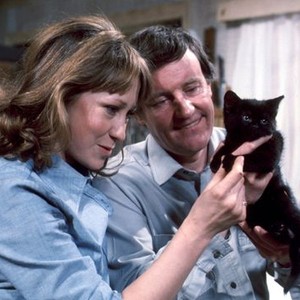 The Good Life - Rotten Tomatoes