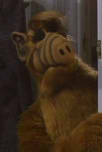 ALF: Season 2, Episode 22 - Rotten Tomatoes