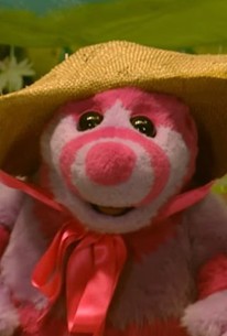 The Roly Mo Show: Season 1, Episode 5 | Rotten Tomatoes