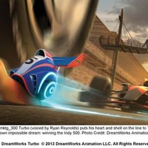 Turbo - Rotten Tomatoes