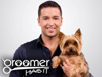 Groomer has it store