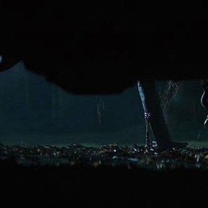 The Wretched - Rotten Tomatoes