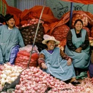 The Great Movement - Rotten Tomatoes